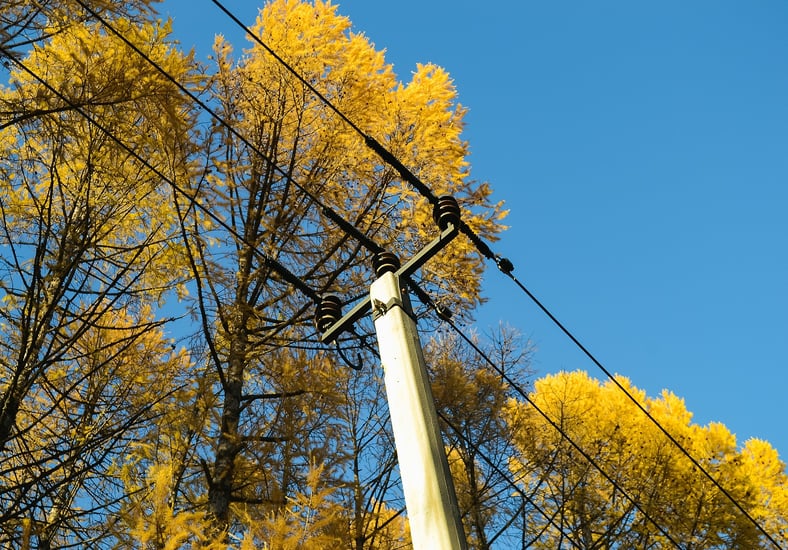 Fall Home Electrical Safety Inspection: Prepare for a Cozy Season