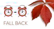 Spring Forward, Fall Back: Did You Check Batteries?
